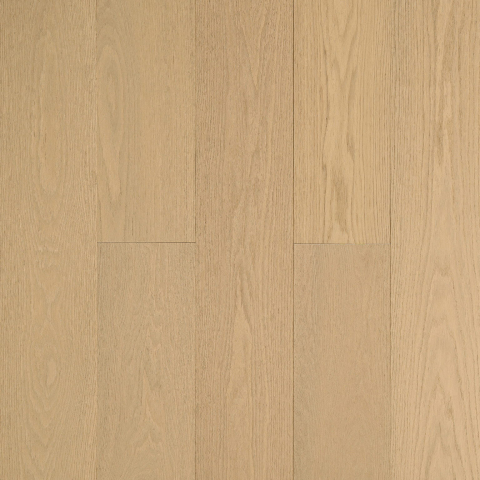 Parchment Oak 202 - Golden Field Corporation